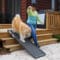 PetSTEP Folding Pet Ramp | Collapsible Pet Steps for Sale