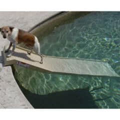 PetSTEP® Pool Leg Accessory Kit (Shown with a PetSTEP ramp sold ...