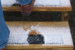 Outdoor Deck/Stair Treads for Ice & Snow | Handi-Ramp