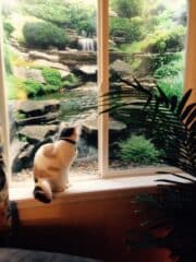 Biggies Window Well Scenes - HandiRamp