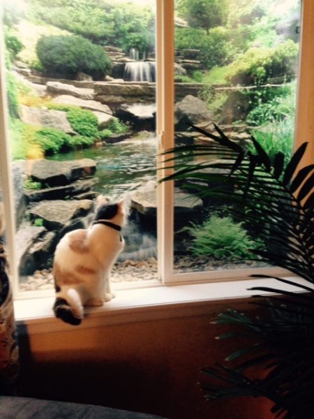 Biggies Window Well Scenes - HandiRamp